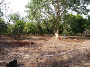 Random rubble masonry foundation – Blurring Boundaries